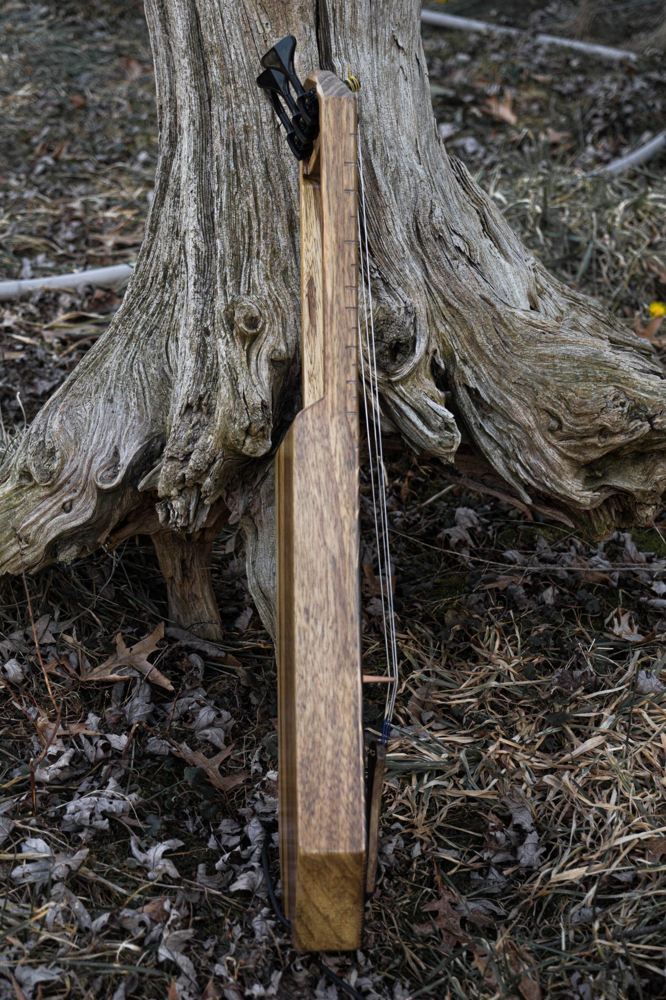 Black Limba Talharpa (alto/viola range) – Cedar top – HavocHarpa