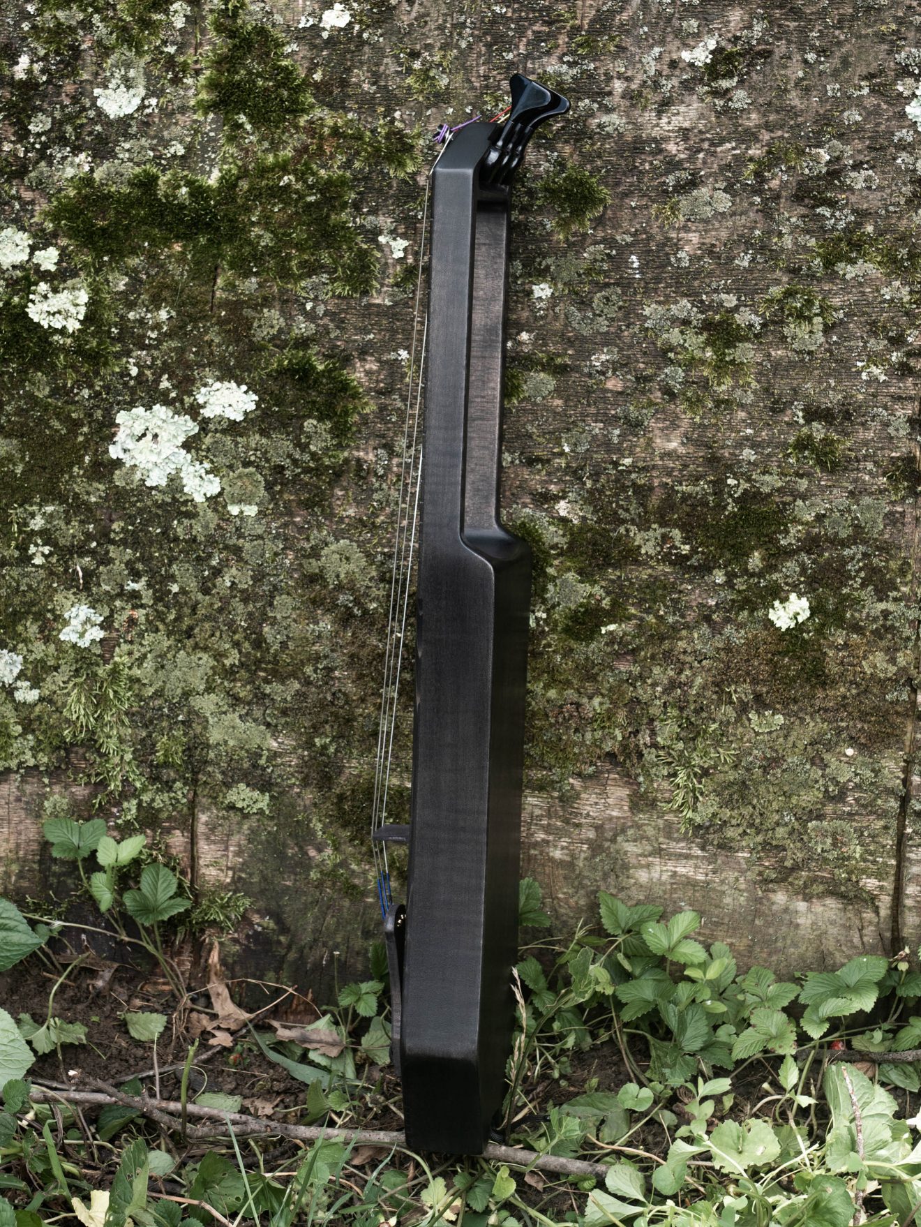 Curly Maple Talharpa (viola range) – black finish – HavocHarpa