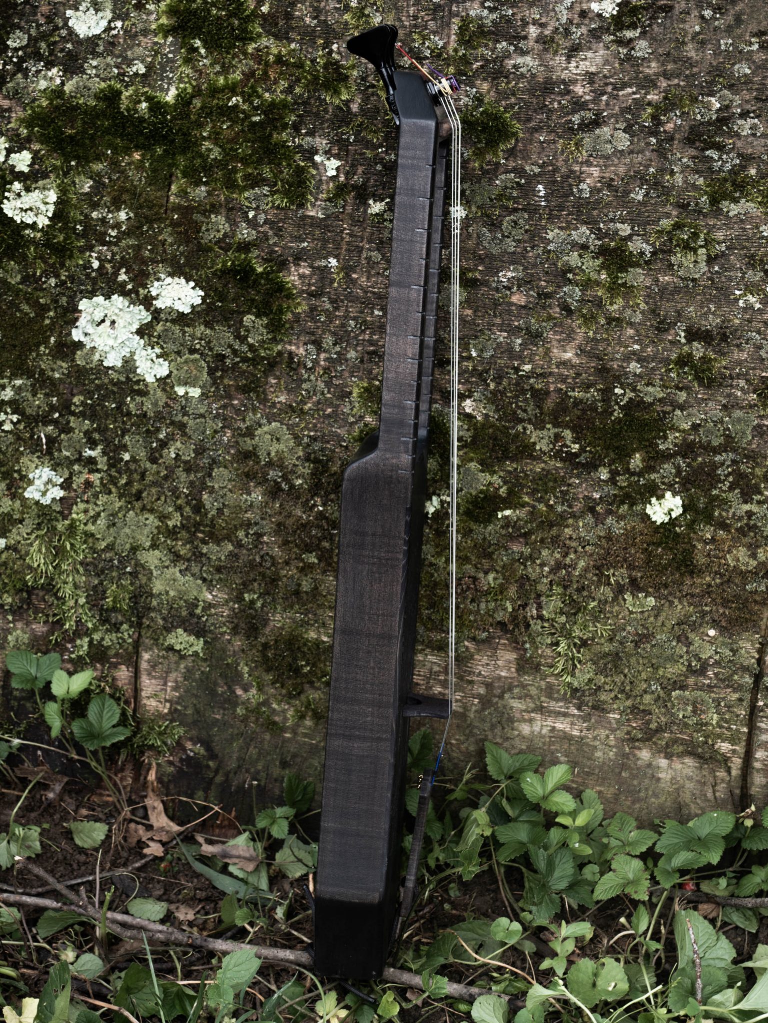 Curly Maple Talharpa (viola range) – black finish – HavocHarpa